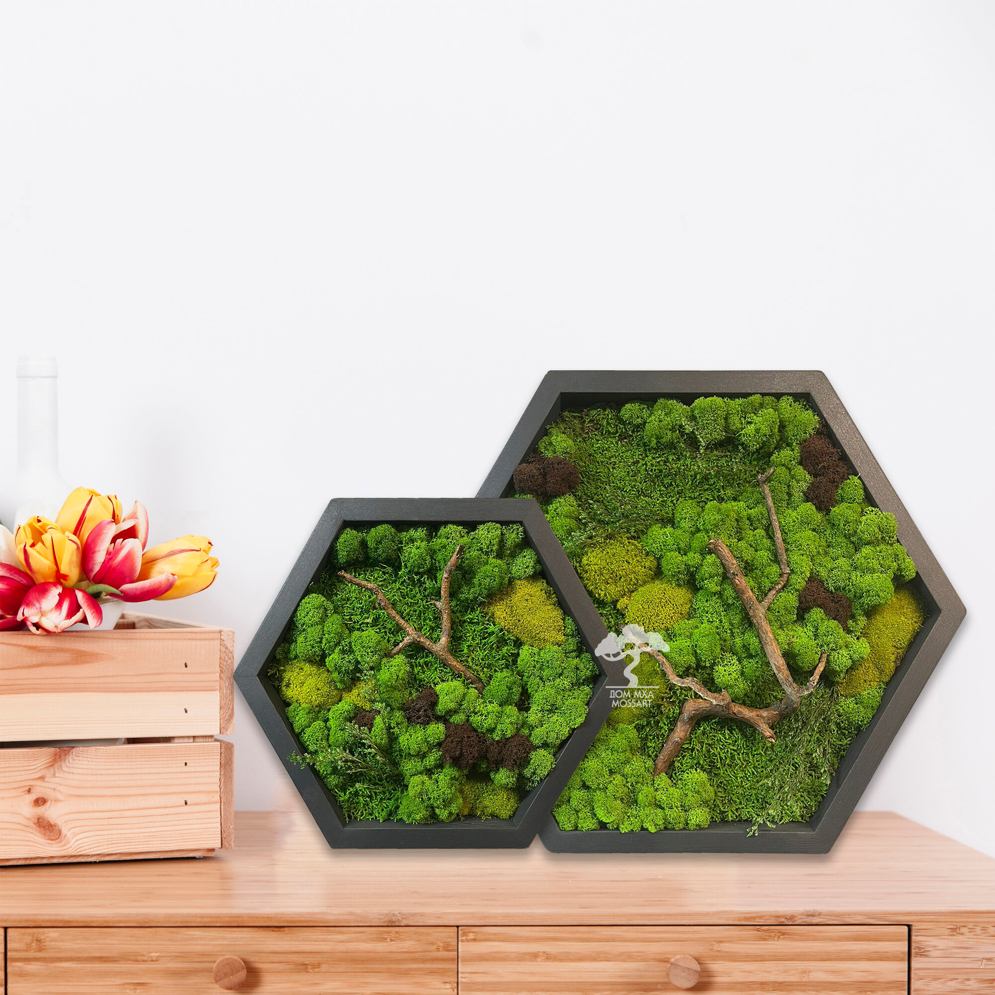 Набор сот со мхом "Сосновый бор". В подарочной упаковке. Графит. Дом Мха - MossArt.