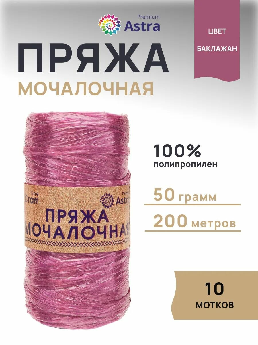Пряжа для вязания Astra Premium 'Мочалочная' 50г, 200м (100% полипропилен) (баклажан), 10 мотков