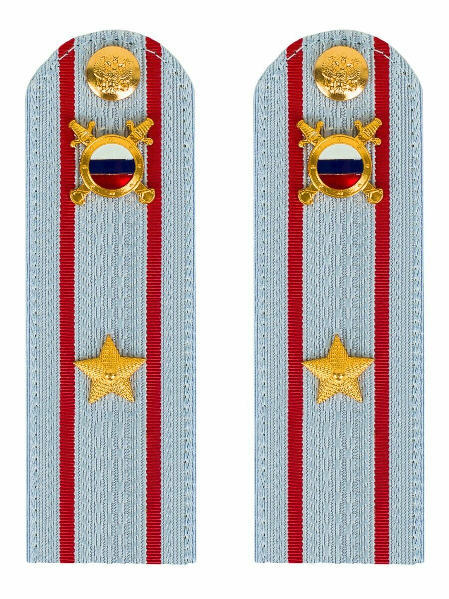 Погоны МВД внутренняя служба голубые Майор 12см