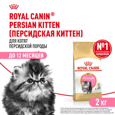 ROYAL CANIN PERSIAN KITTEN 2 шт по 2 кг корм для персидских котят в возрасте до 12 месяцев