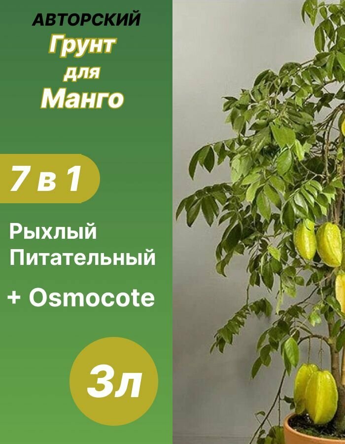 Грунт для Манго готовый 3л
