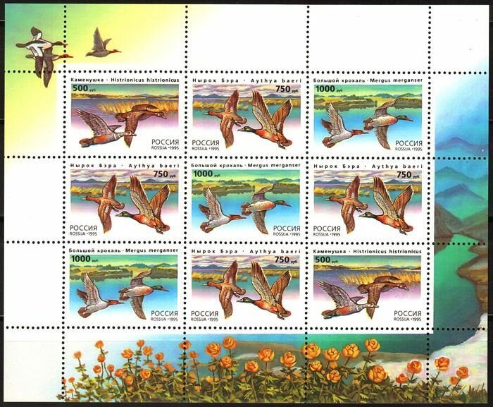 Почтовые марки России. 1995 год. Фауна. Утки. Малый лист. MNH(**)