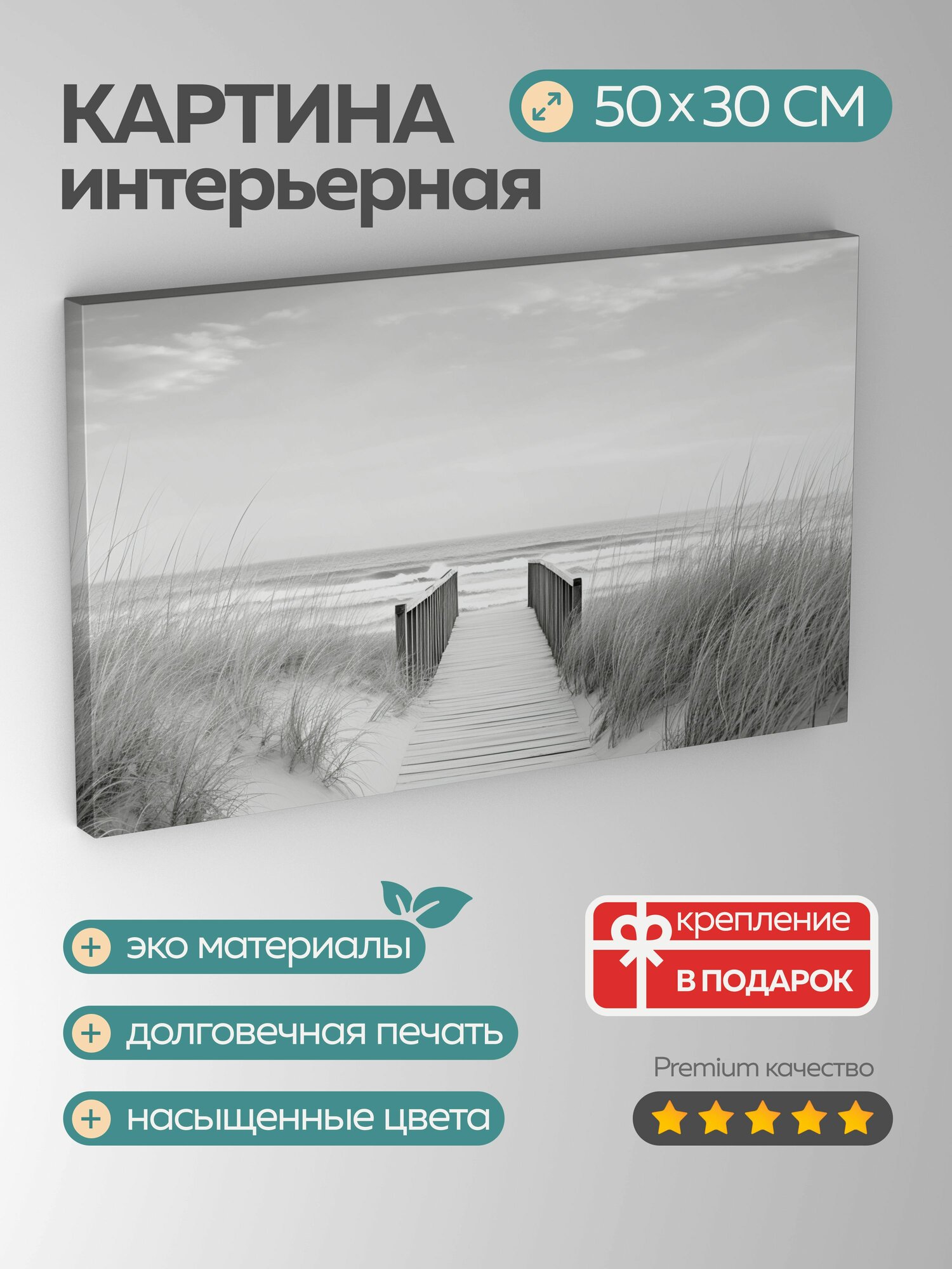 Картина на холсте интерьерная 50х30 см, черно-белая фотография, мирная морская тропа, деревянный настил, высокая трава