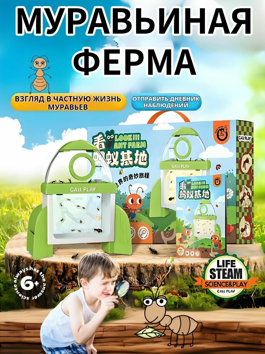 Муравьиная ферма(Муравьи в комплект не входят), Муравьиная усадьба