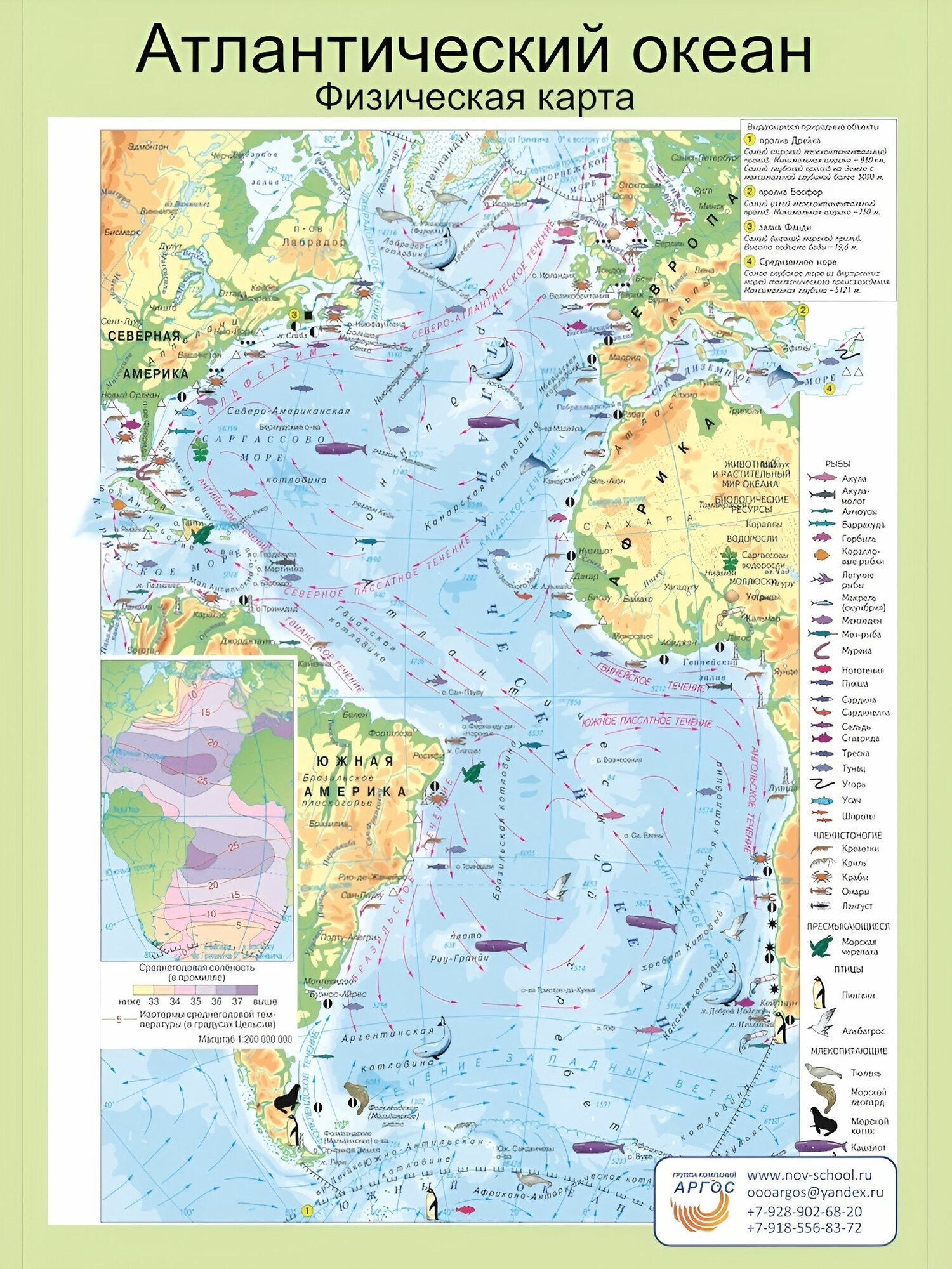Атлантический океан. Физическая карта 7 класс (100*140см)