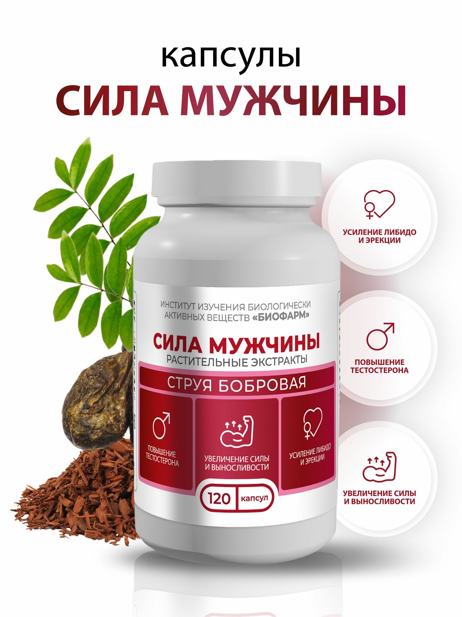 Бобровая струя комплекс силы и эрекции