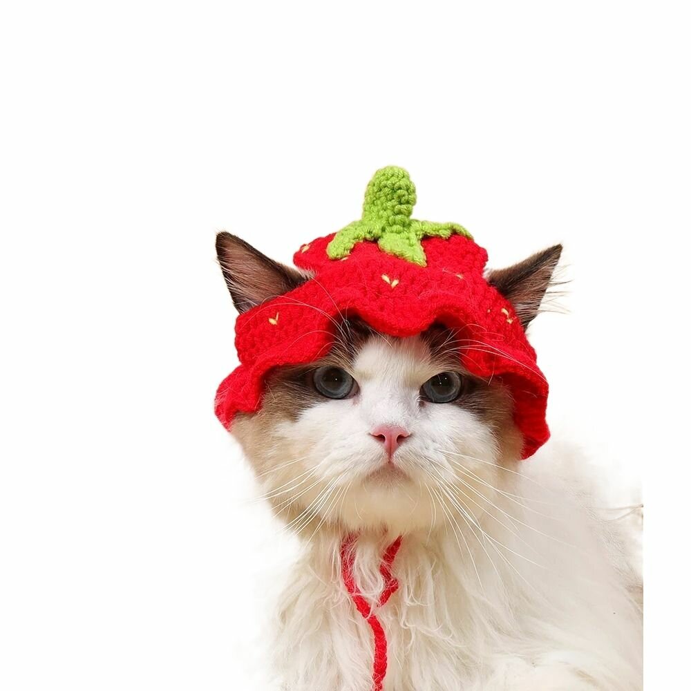 Кошка шляпа