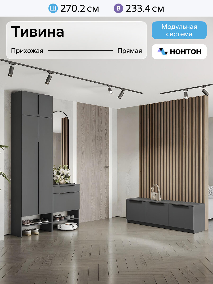 Прихожая со шкафом Нонтон Тивина №2, 270x47x233 см, графит серый