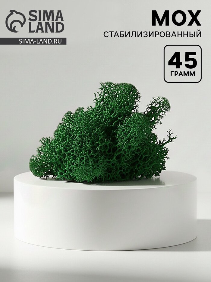 Мох стабилизированный «Ель» 45 г (±5 г)