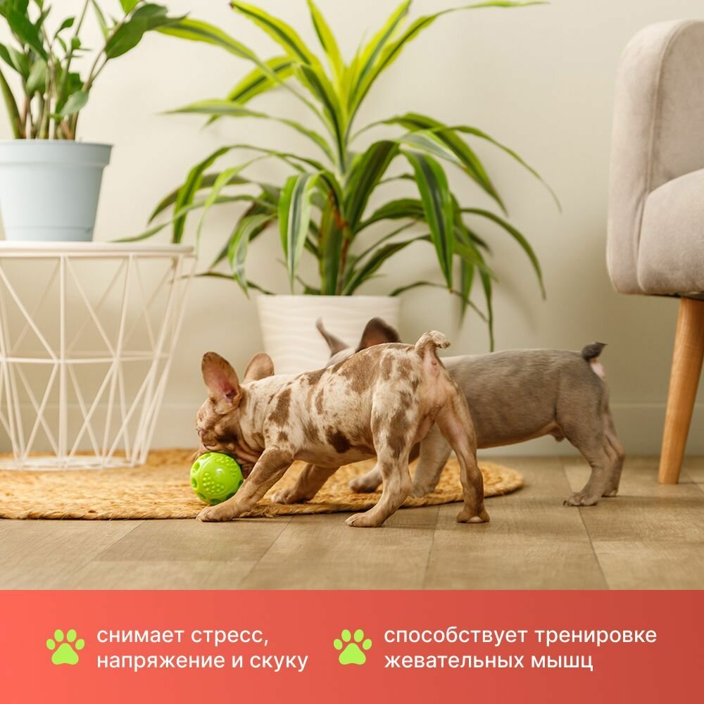 Игрушка для животных — фото 1