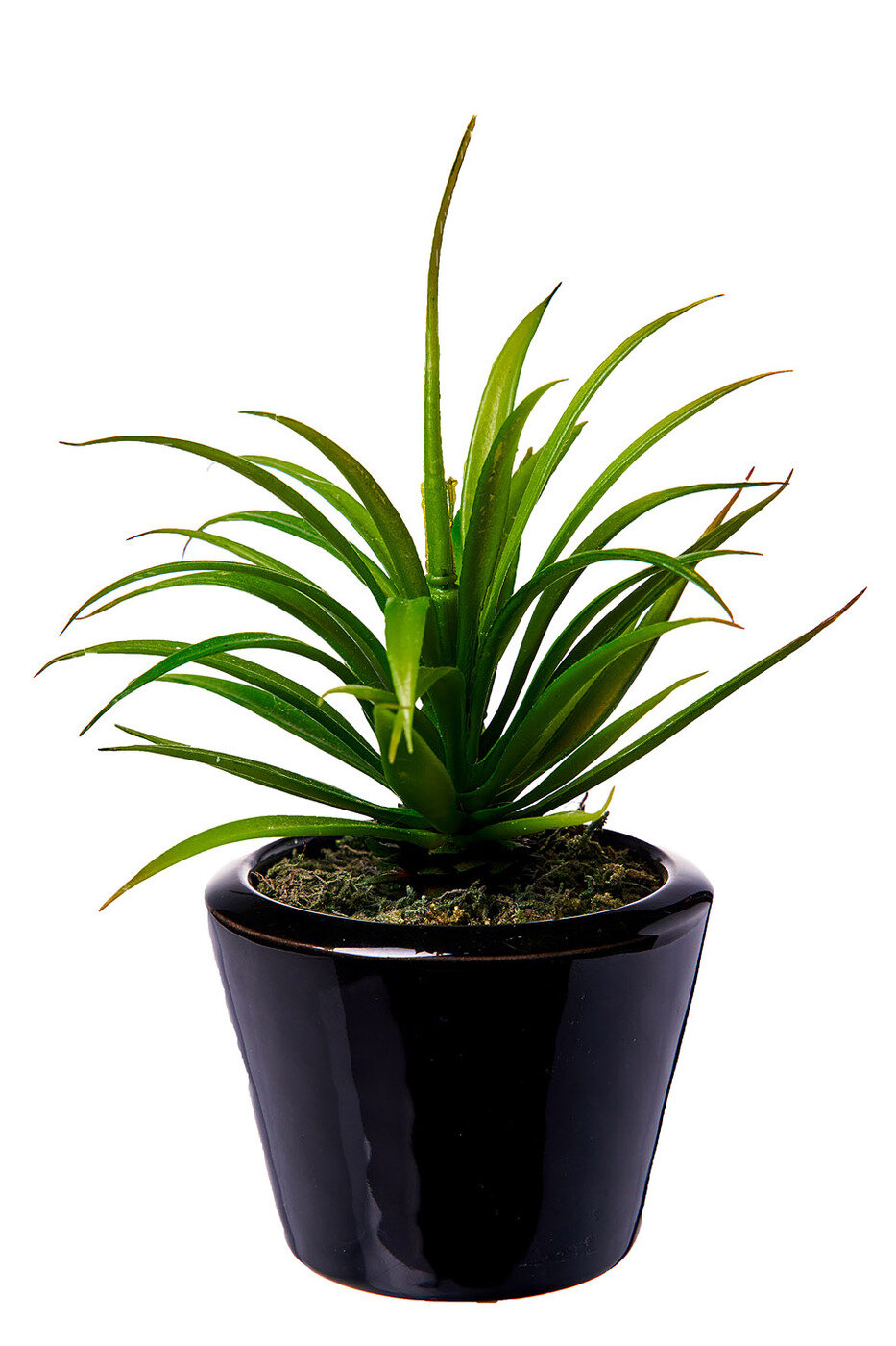 Декоративный цветок черный FR-XD4120BK