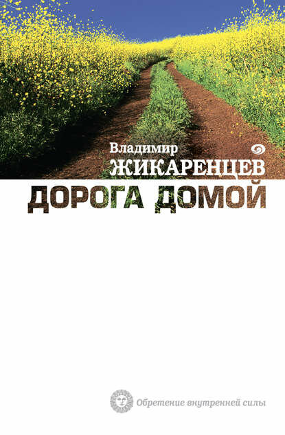 Дорога Домой [Цифровая книга]