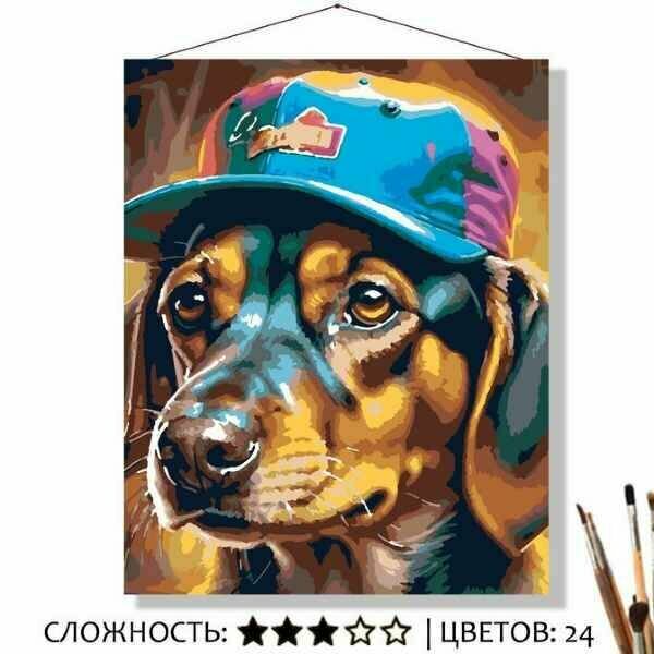 Картина по номерам на холсте 50х40 "Такса в кепке"