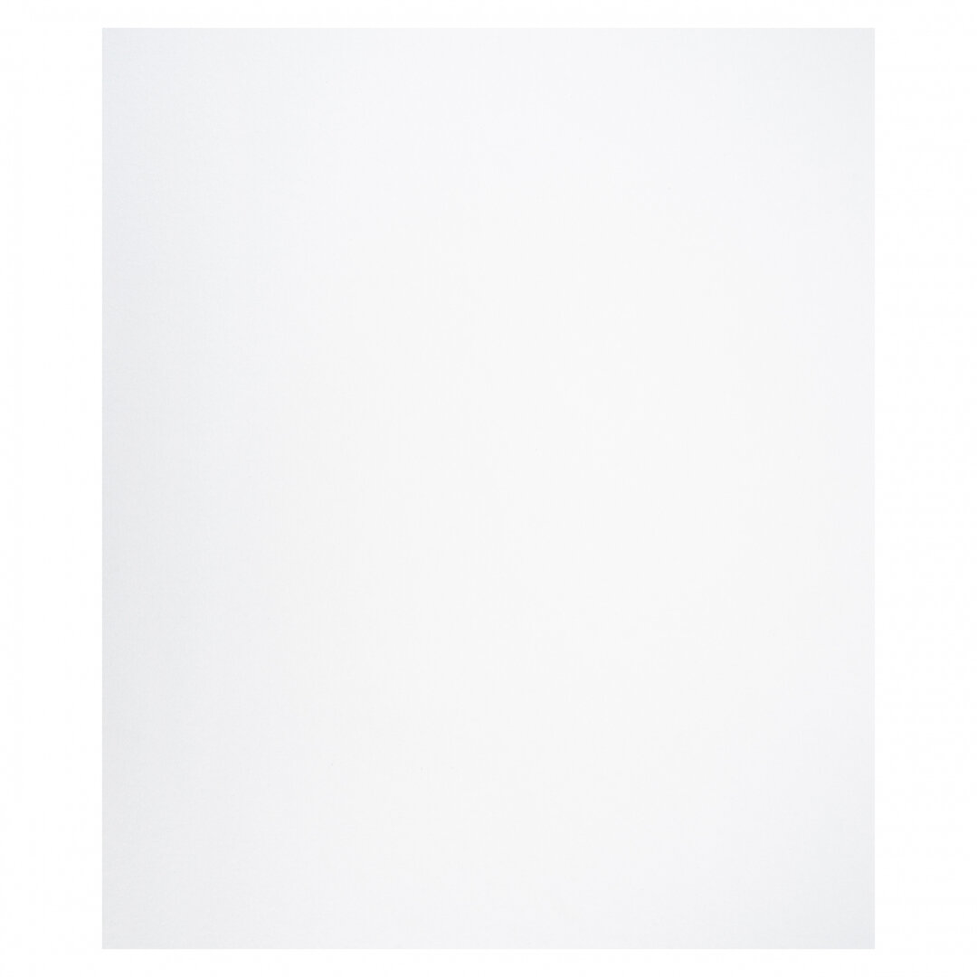 Невская Палитра Картон грунтованный (акрил) 1010г/м2 50х60см 1л