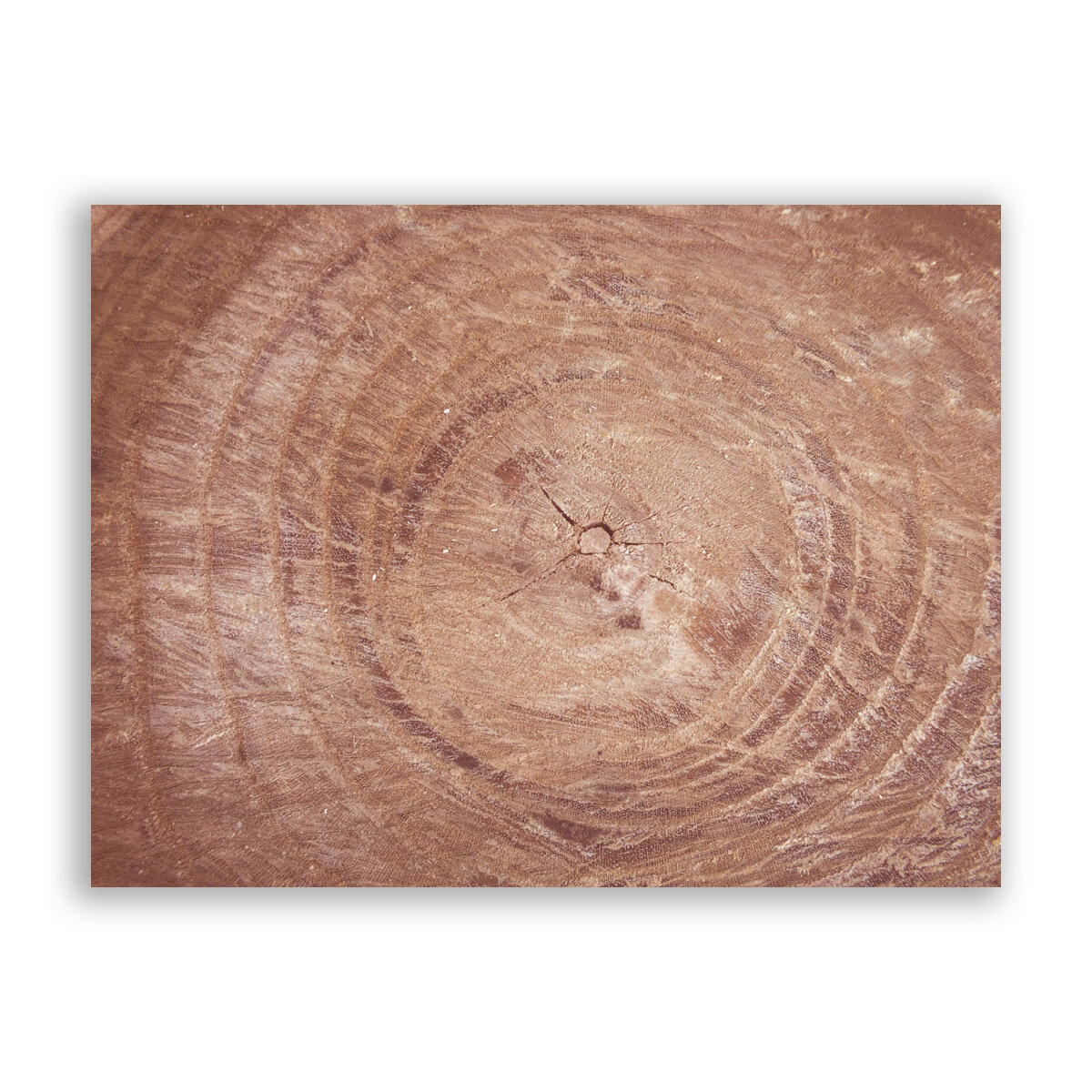 Постер, плакат на бумаге / Древесина / Размер 30 x 40 см