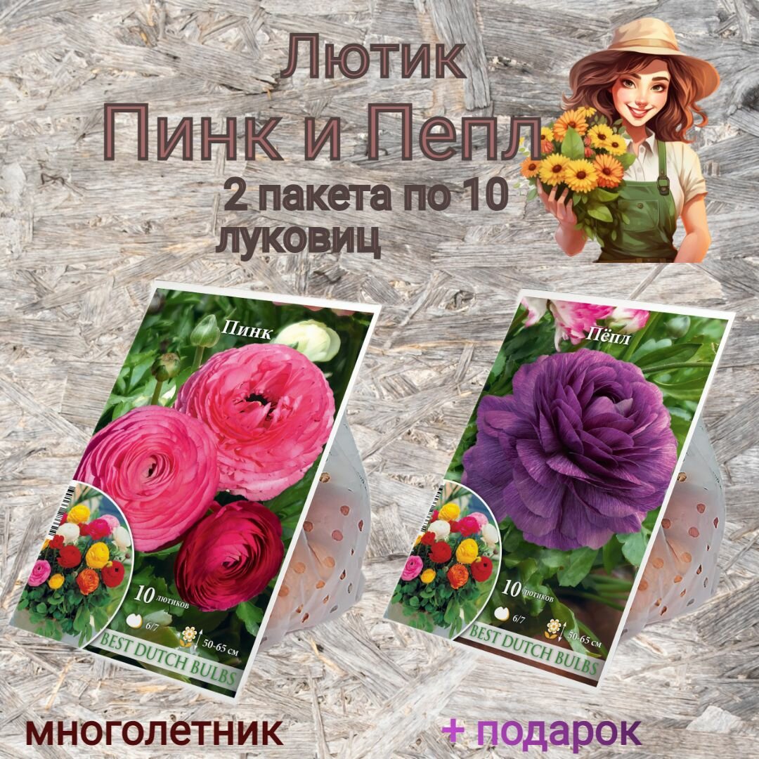 Лютик Пинк + Пепл 2 пакета по 10 луковиц