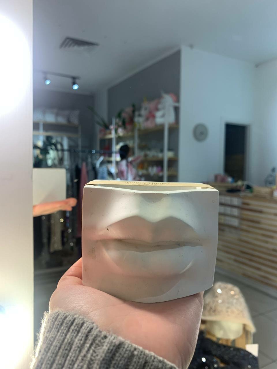 Кашпо-Органайзер "LIPS" из гипса