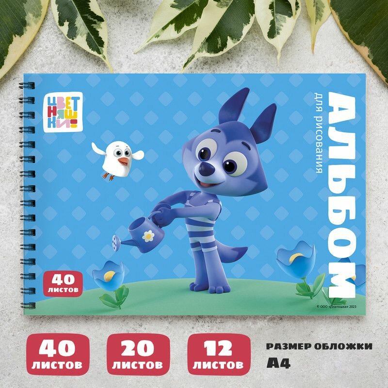 Альбом для рисования Цветняшки - 03
