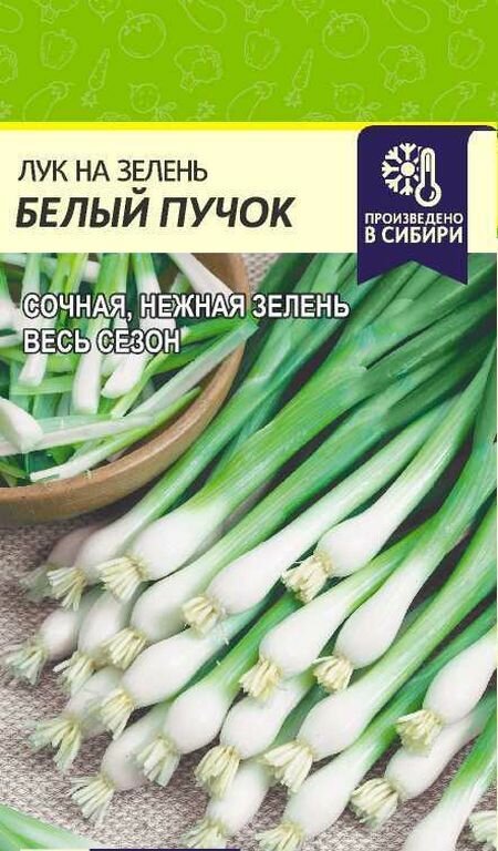 Семена растения Лук на зелень белый Пучок