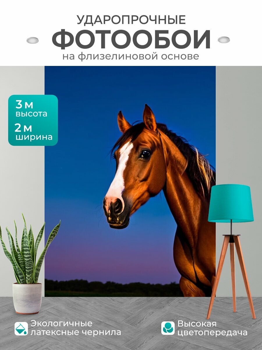 Фотообои моющиеся ударопрочные "Лошадь, нежно смотрящая на лунное небо" 200x300 см. флизелиновые на стену