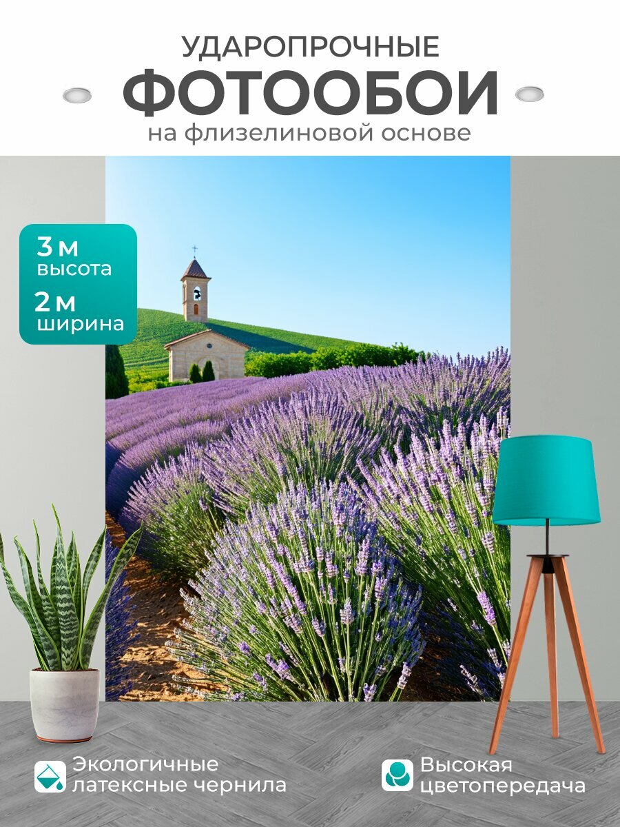 Фотообои моющиеся ударопрочные "Прованс: лавандовые кусты, которые цветут на солнце, создавая аккуратный ряд среди зеленых холмов. на горизонте" 200x300 см. флизелиновые на стену