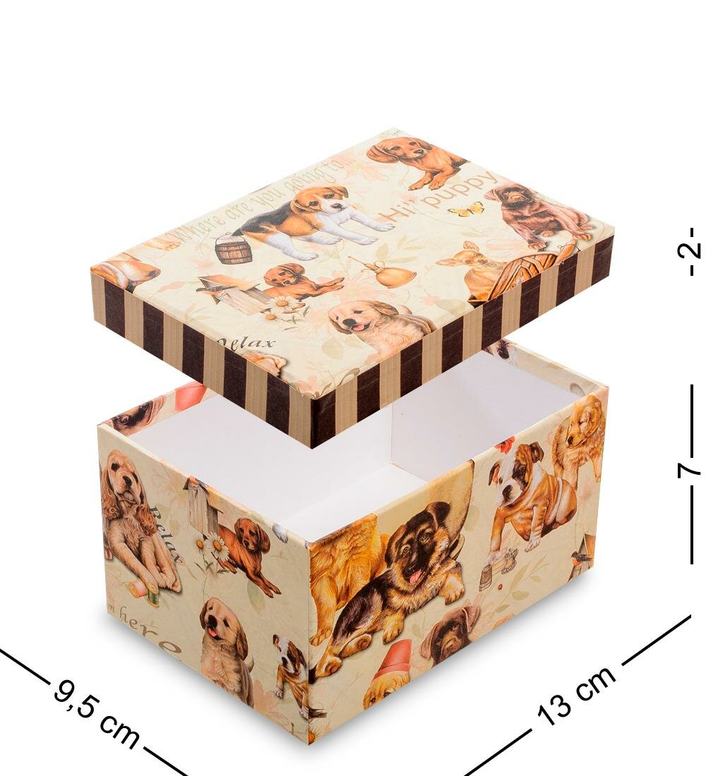 Коробка Прямоугольник мал. A1973348 Packing Symphony, Картон, бумага