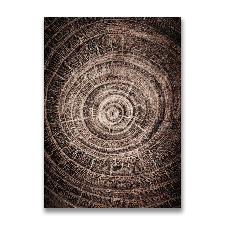 Картина на холсте Срез дерева, 50х70 см