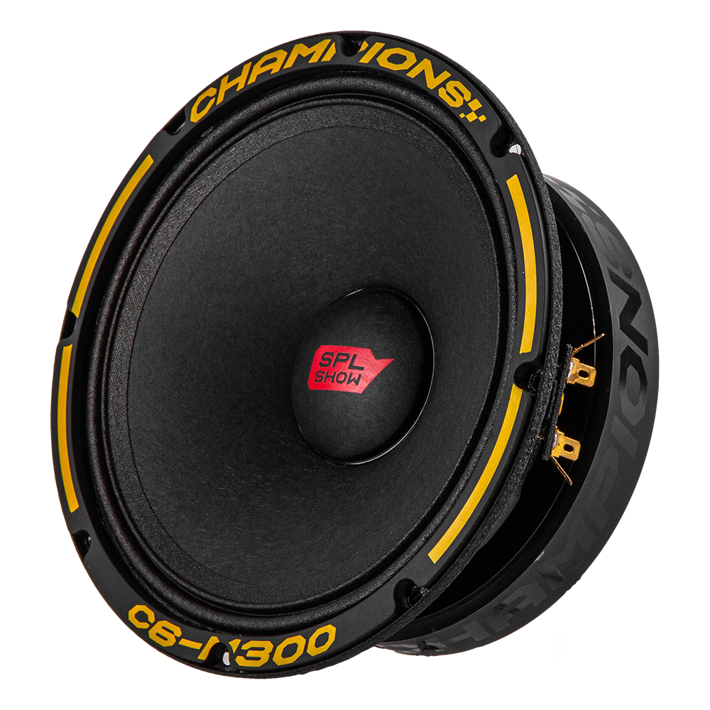 Акустика SPL SHOW 6,5" ACV C6-M300