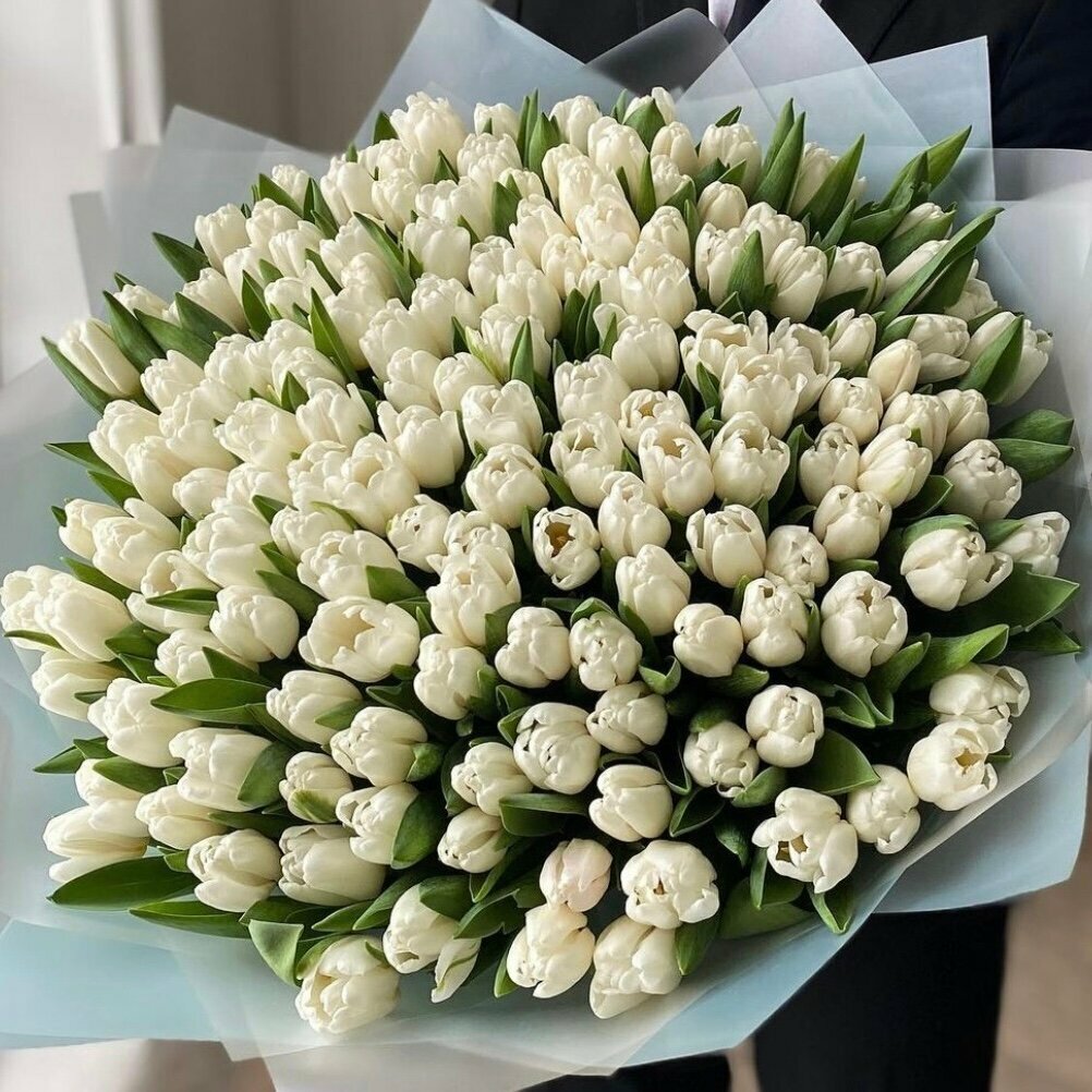 Букет из белых тюльпанов 101 шт, красивый букет цветов, шикарный, премиум цветы, премиум букет