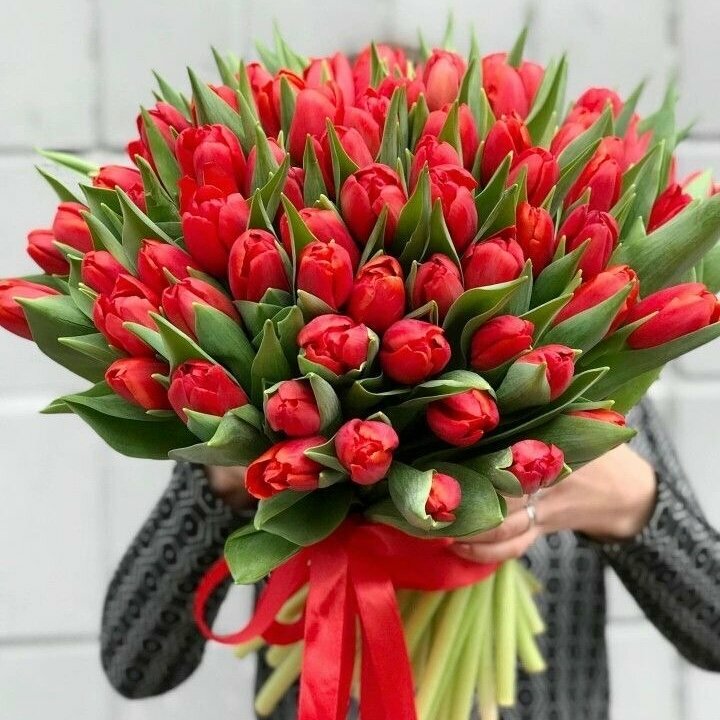Букет из красных тюльпанов 51 шт, красивый букет цветов, шикарный, премиум цветы, премиум букет