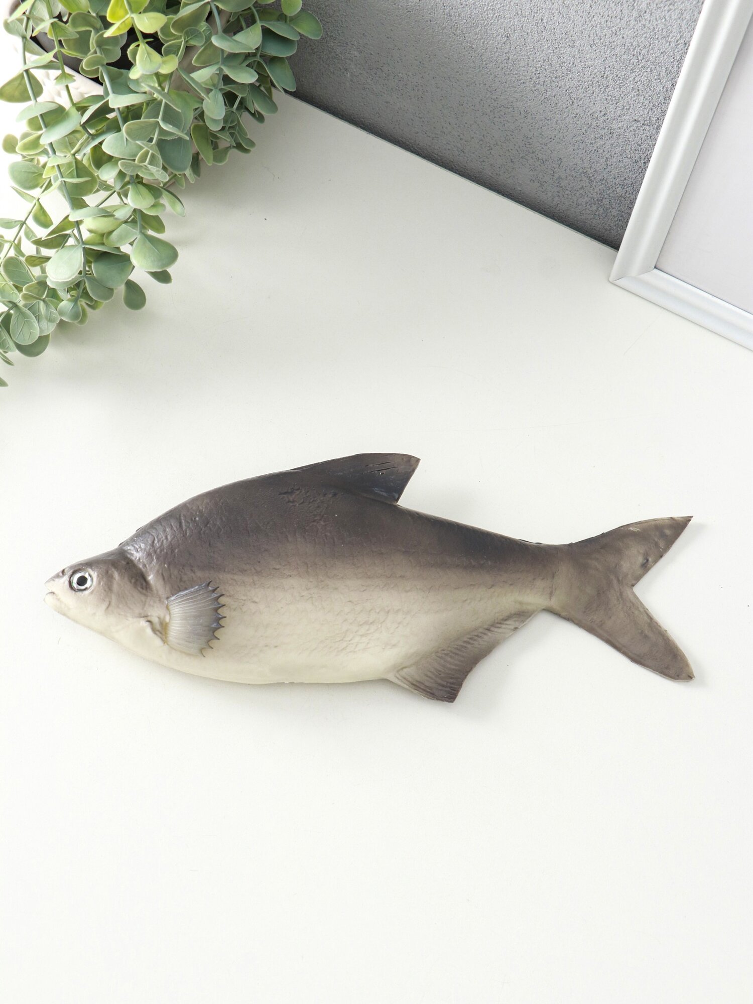 Муляж «Рыба лещ», 10×30 см