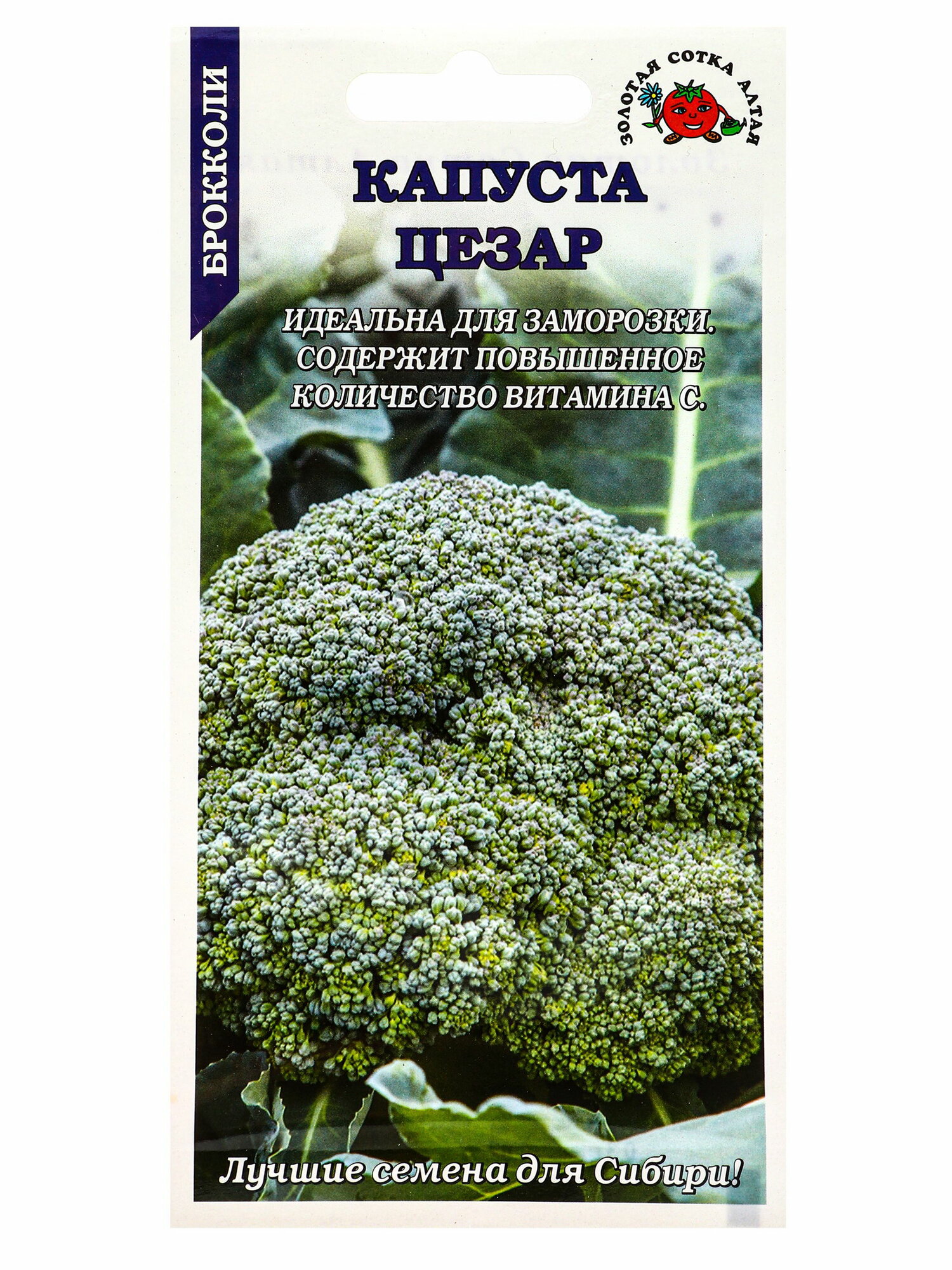 Семена Капуста брокколи "Цезар", 0.3 г, среднеранняя, размер упаковки: 8 x 0.2 x 15 см, 3 шт.