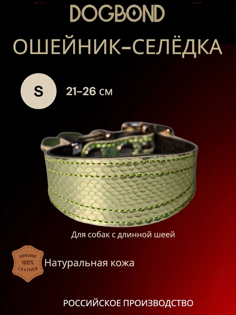 Dogbond ошейник-селедка для малых пород