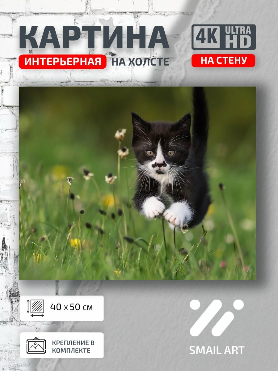 Картина на холсте интерьерная 40 на 50 на стену Цветы Animal для детской animal style декор