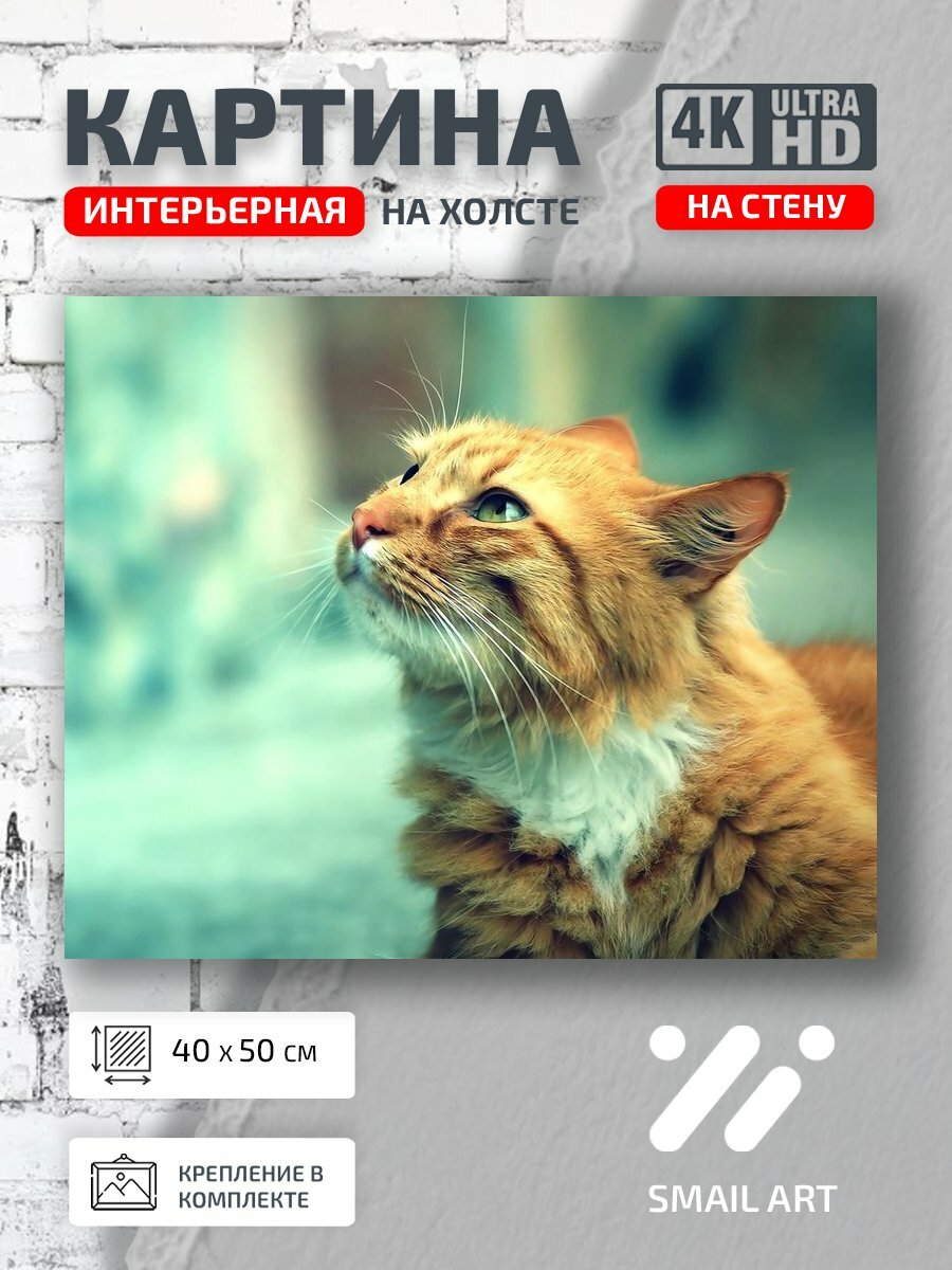 Картина на холсте интерьерная 40 на 50 на стену Кот Animal для кабинета animal style декор