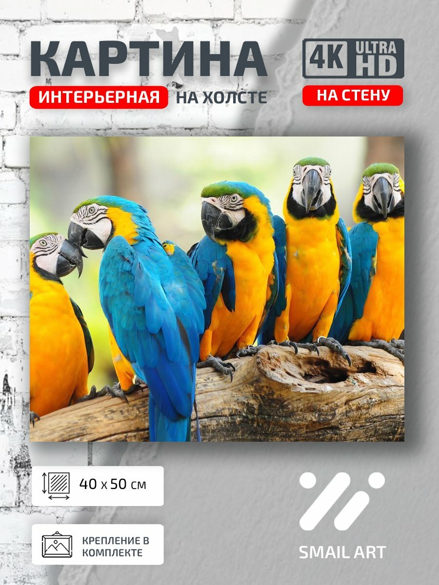 Картина на холсте интерьерная 40 на 50 на стену Птицы Landscape для спальни пейзаж интерьер