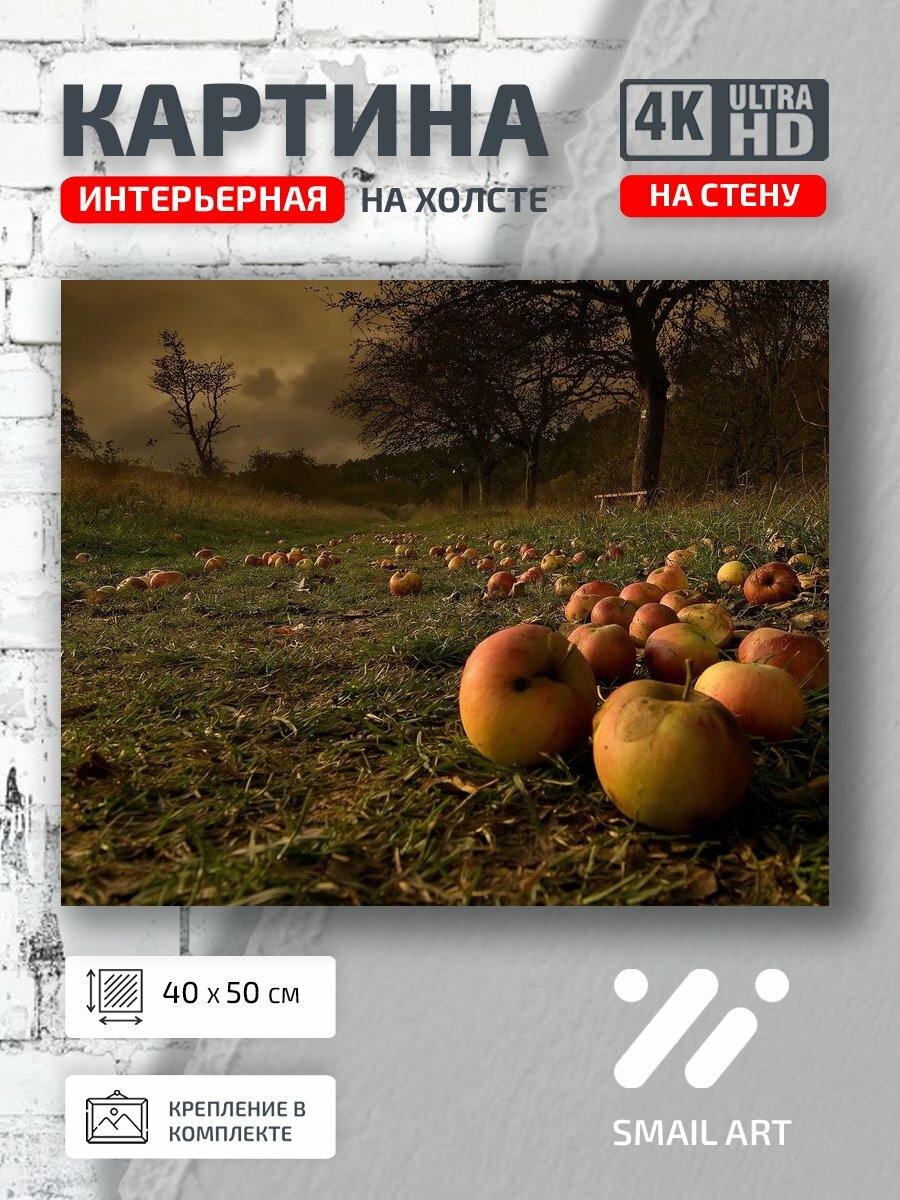 Картина на холсте интерьерная 40 на 50 на стену Земля Landscape для офиса пейзаж интерьер