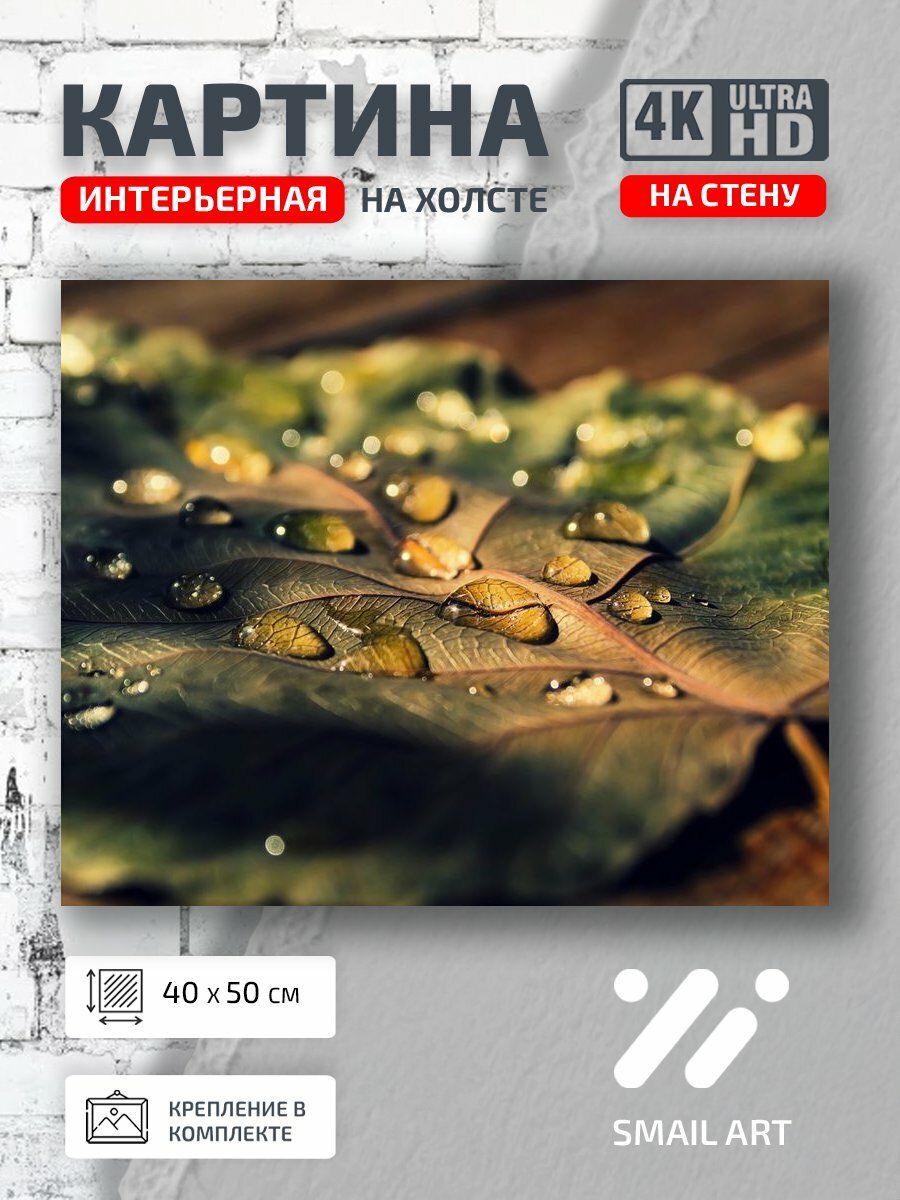 Картина на холсте интерьерная 40 на 50 на стену Капли Macro для студии макро интерьер декор