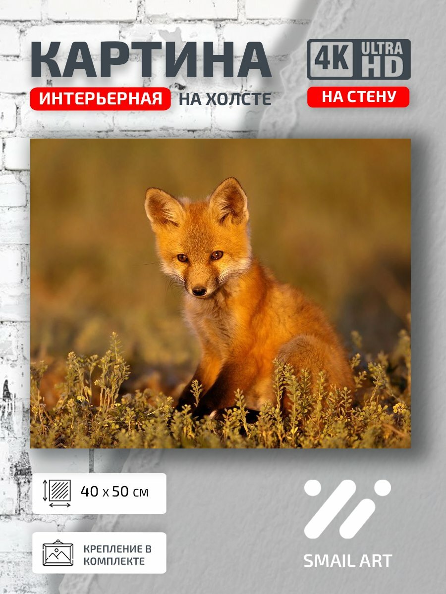 Картина на холсте интерьерная 40 на 50 на стену Лисенок Mood для спальни атмосфера интерьер