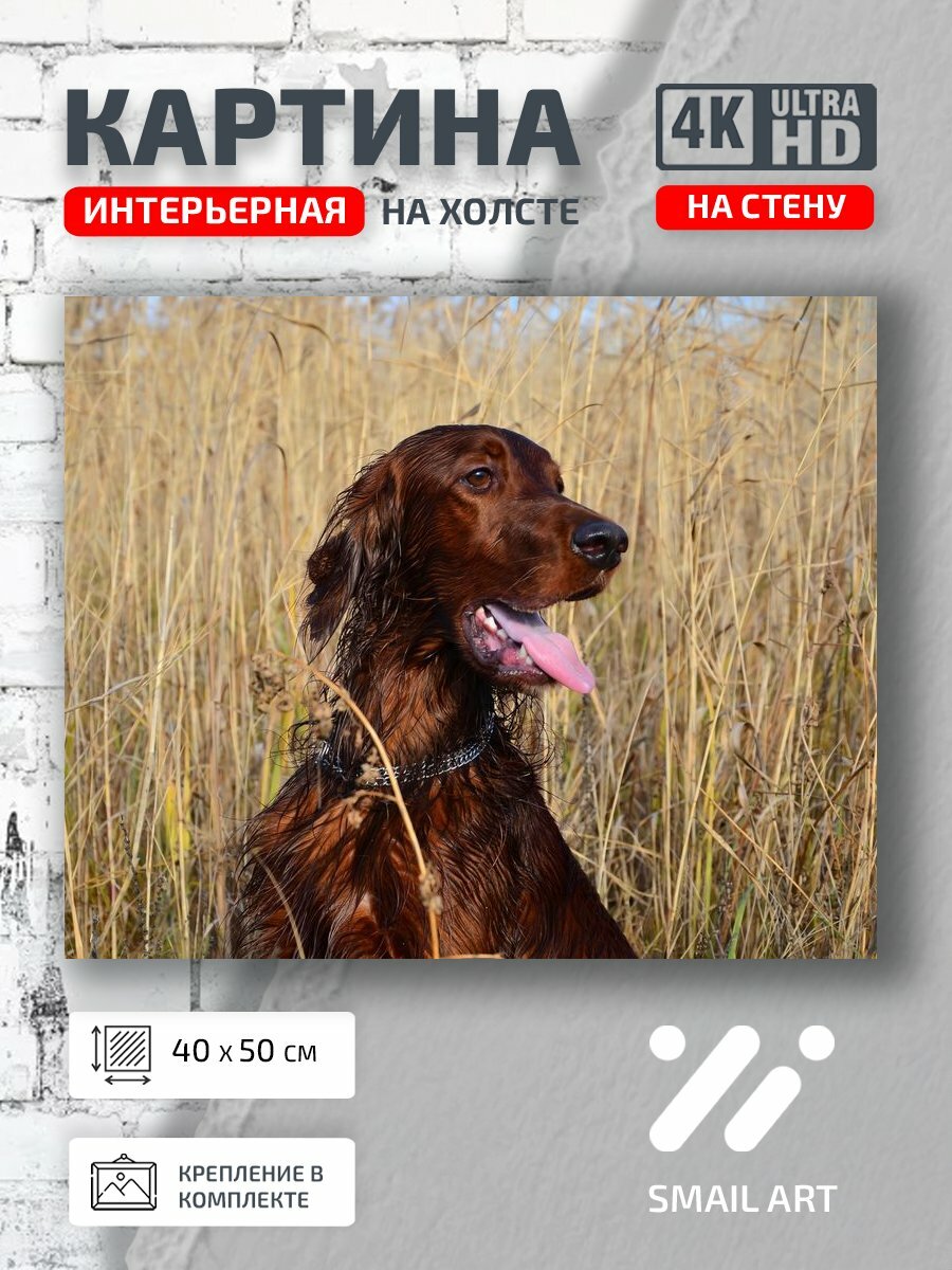 Картина на холсте интерьерная 40 на 50 на стену Трава Mood для спальни атмосфера интерьер