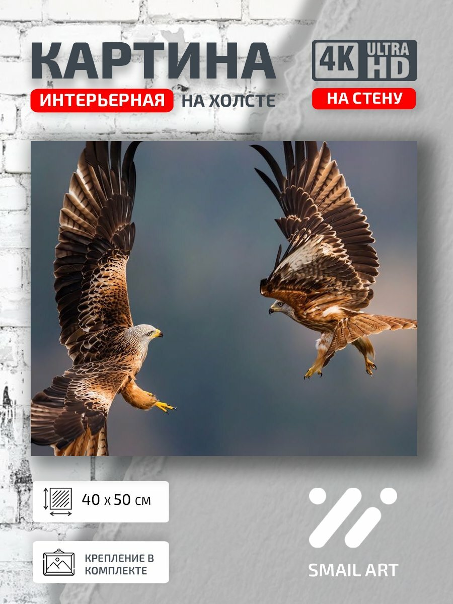Картина на холсте интерьерная 40 на 50 на стену Птицы birds для спальни пейзаж интерьер