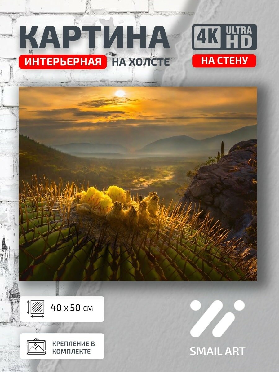 Картина на холсте интерьерная 40 на 50 на стену Природа Мексика для кафе пейзаж