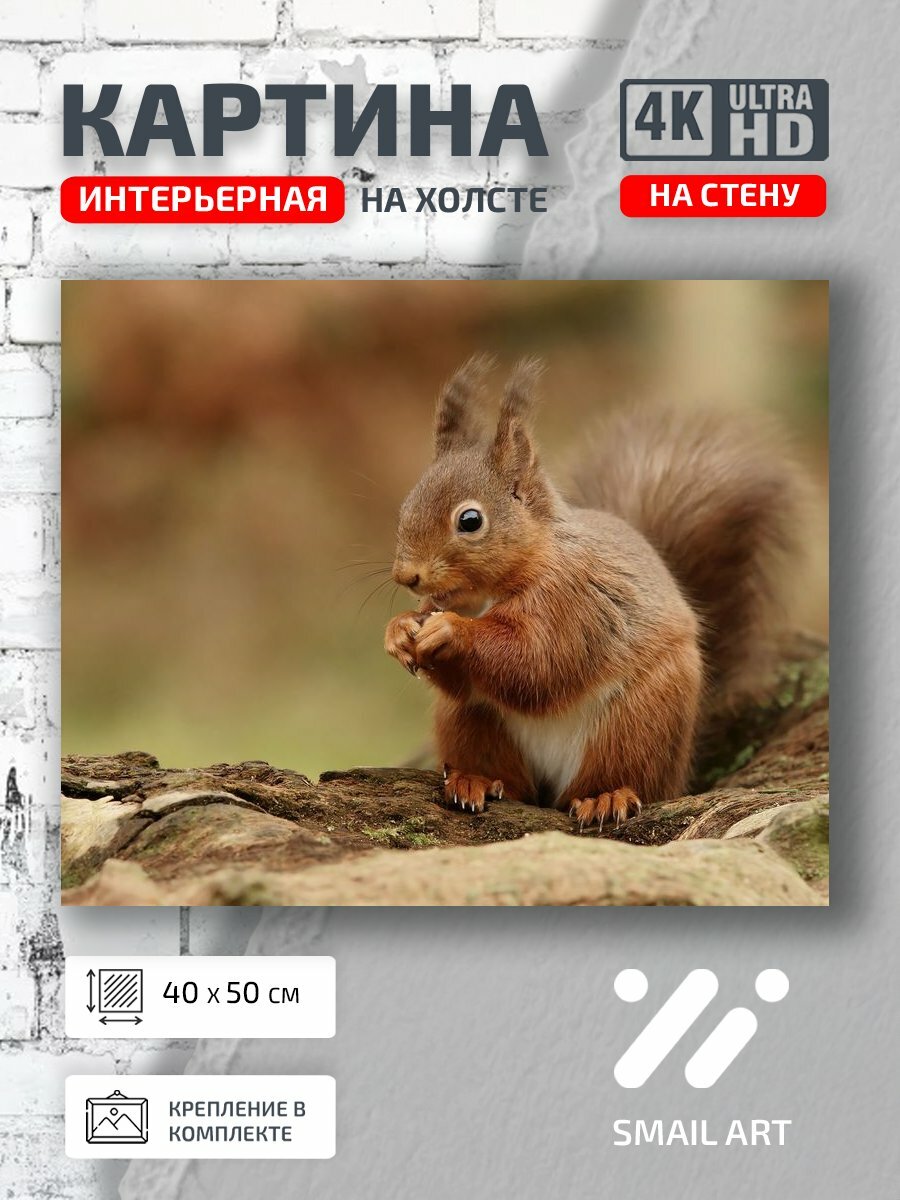 Картина на холсте интерьерная 40 на 50 на стену Белка Mood для кабинета атмосфера интерьер