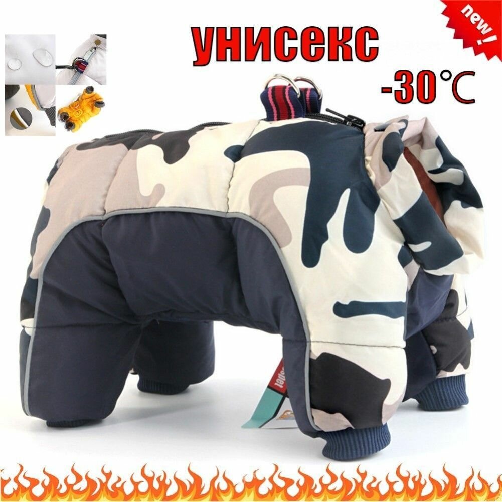 Одежда для животных