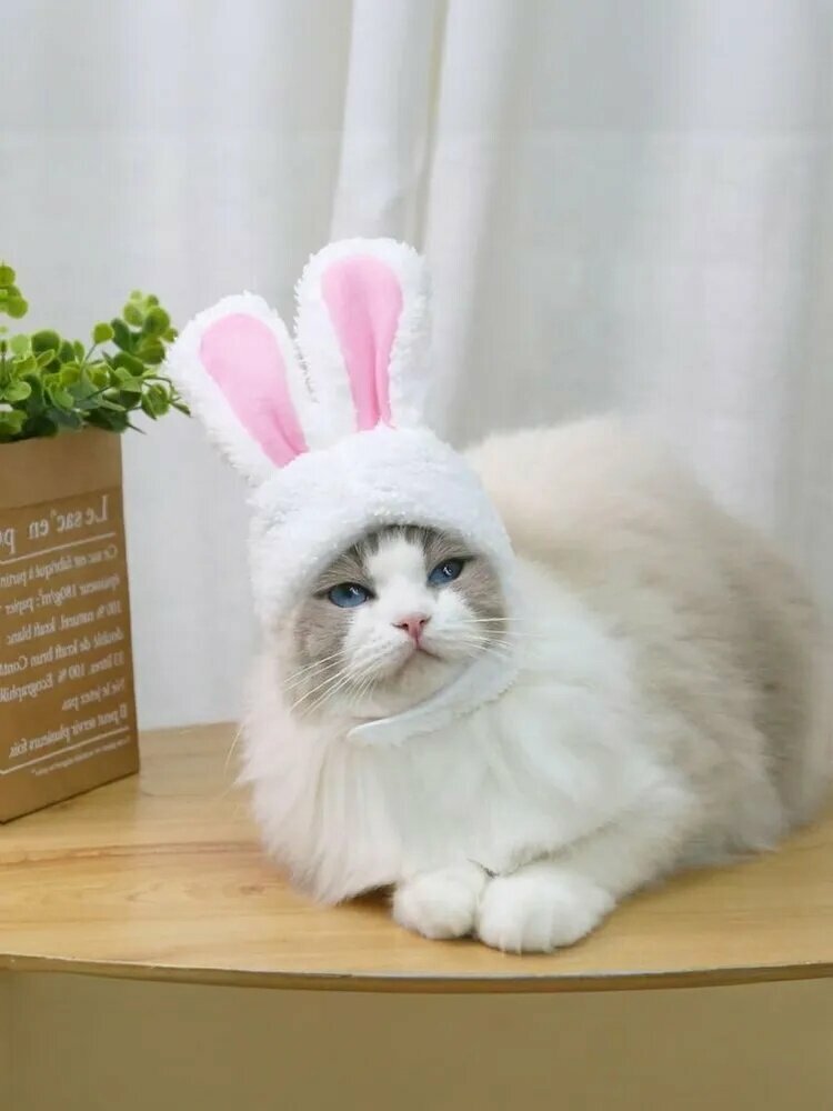 Забавный костюм для собак и кошек, костюм кролика, новогодняя вечеринка, Рождество, реквизит для косплея