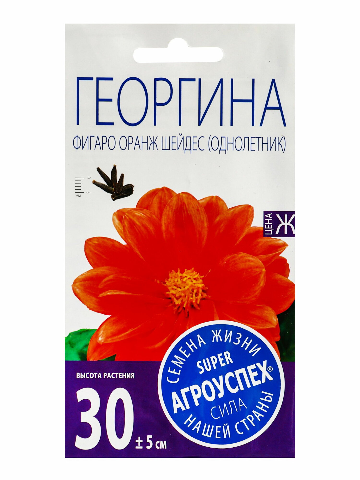 Семена цветов Георгина Фигаро Оранж Шейдес 7шт, цветение период: август