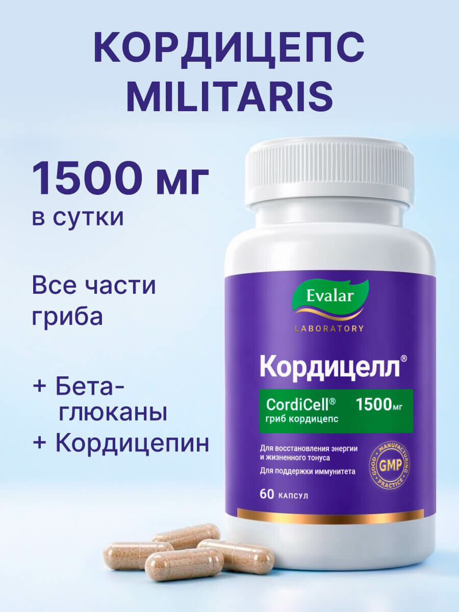Кордицелл Evalar Laboratory, для энергии и иммунитета, 60 капсул