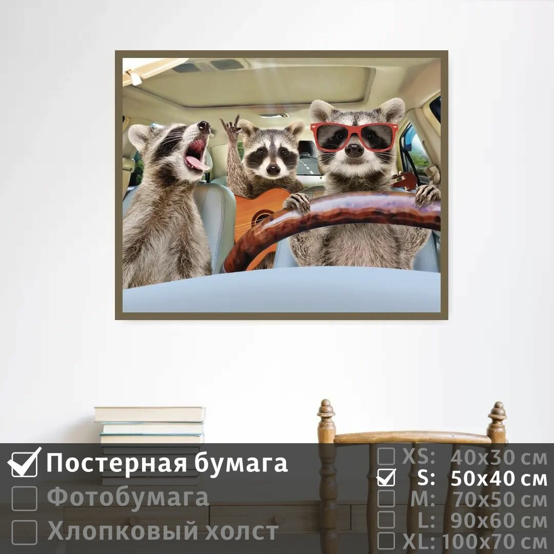 Постер на стену Поющие Забавные Еноты 50х40 см ПолиЦентр