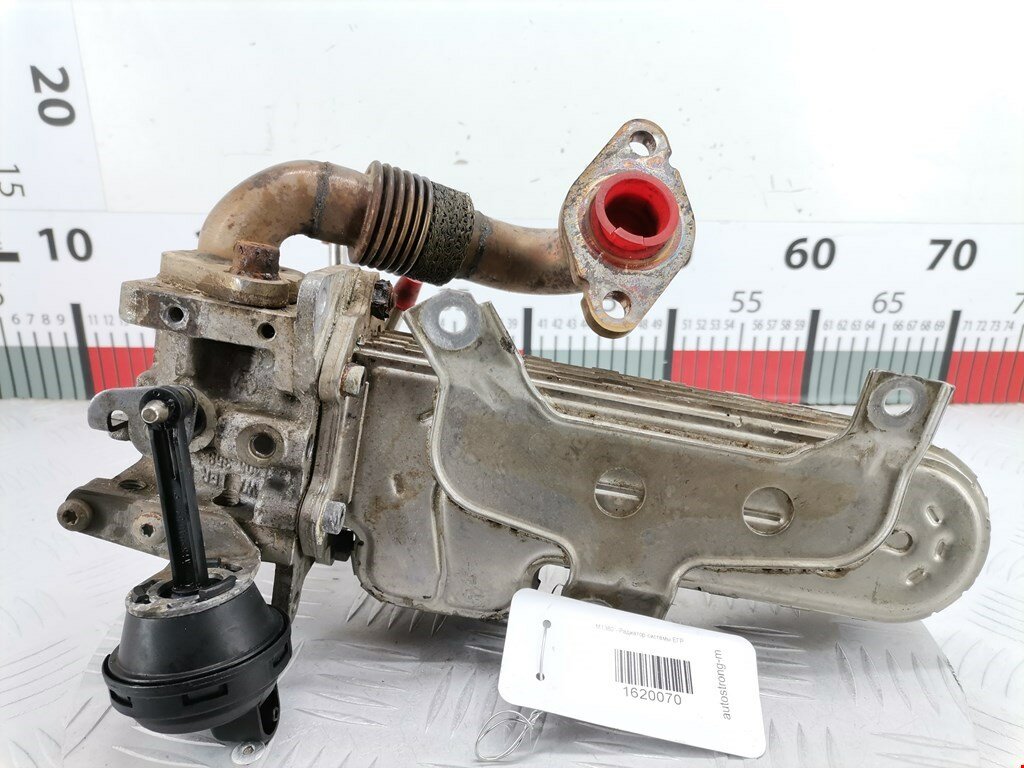 Радиатор системы ЕГР Volkswagen Golf Plus 038131512H арт. 1620070