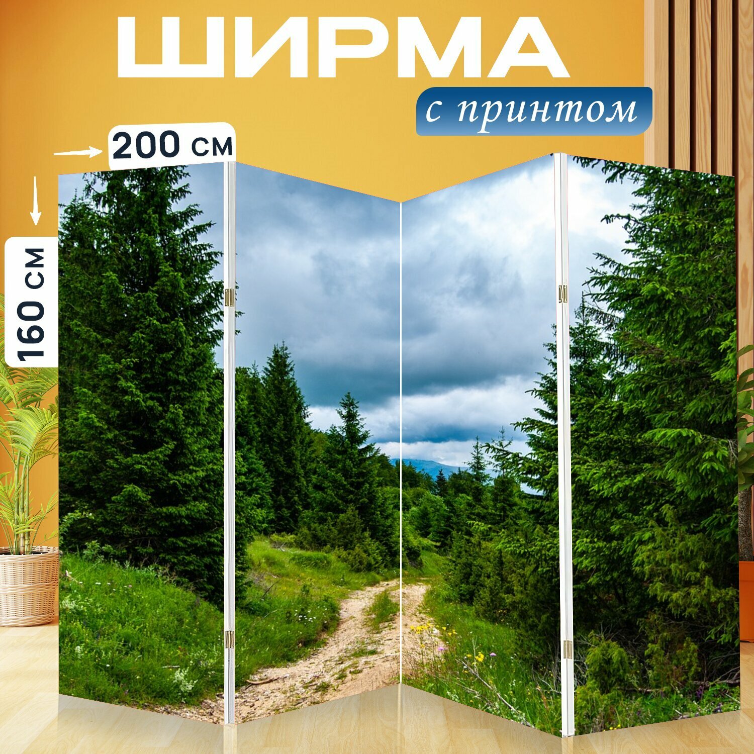 Ширма "Хвойное дерево, лес, древесина" раскладная перегородка для зонирования с принтом на холсте